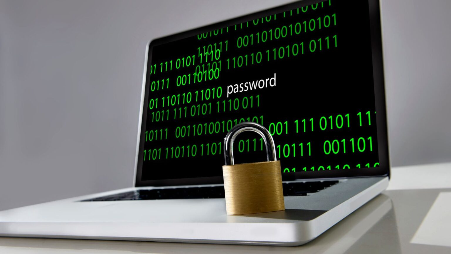 15 Ways to Make Money That Are Technically Legal, But Are Definitely ...